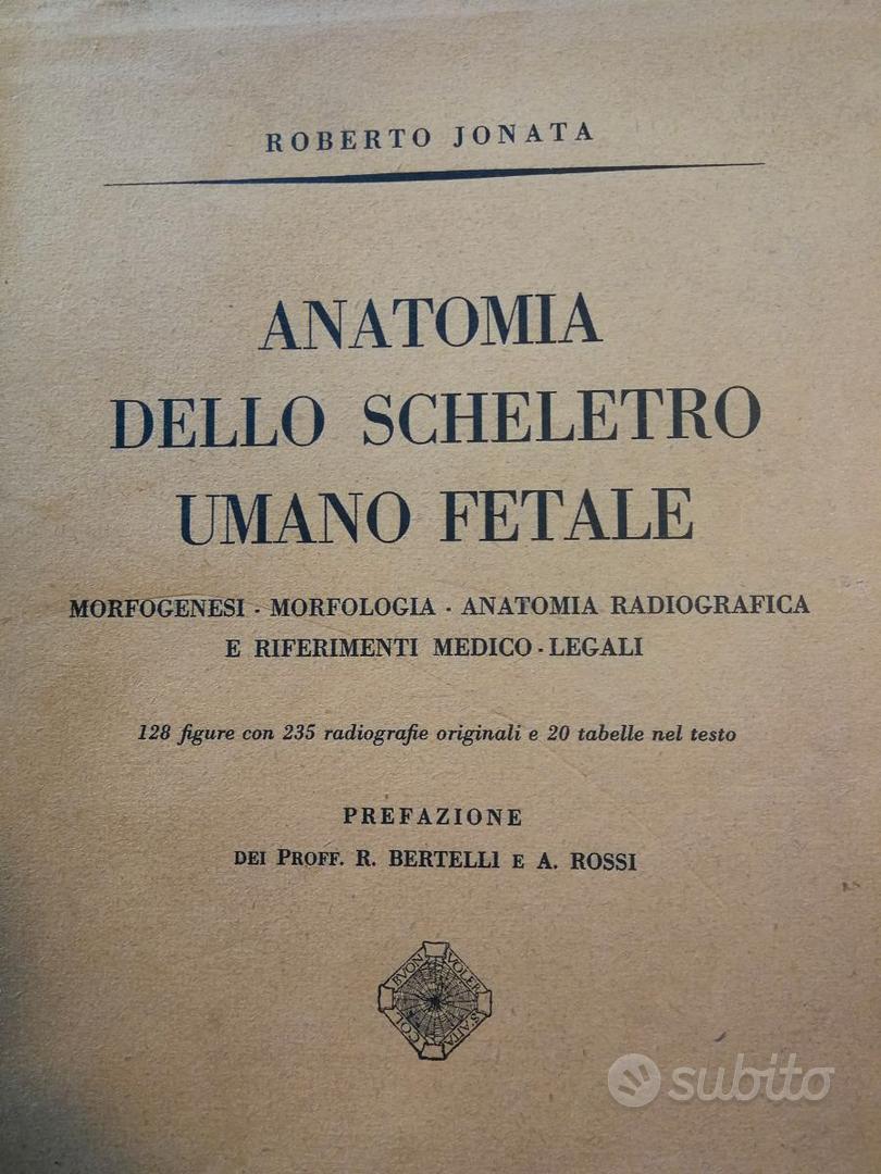 Anatomia dello scheletro umano fetale - Libri e Riviste In vendita a Genova