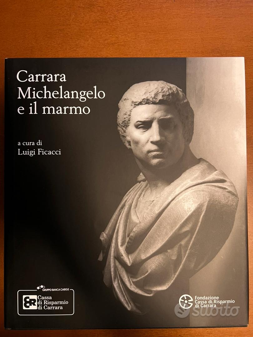 Carrara Michelangelo e il marmo - Libri e Riviste In vendita a Massa-Carrara