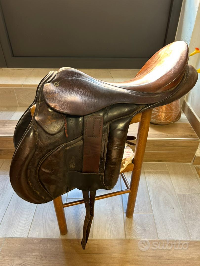 Sella cavallo - Accessori per animali In vendita a Campobasso