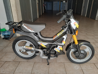 Malaguti Fifty usata in vendita - Subito.it