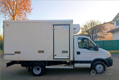 Iveco Daily 65C60 cella frigo libero di licenza - Veicoli commerciali ...