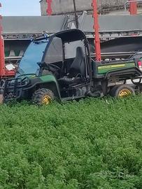 JOHN DEERE Gator con motore nuovo - Veicoli commerciali In vendita a Bari