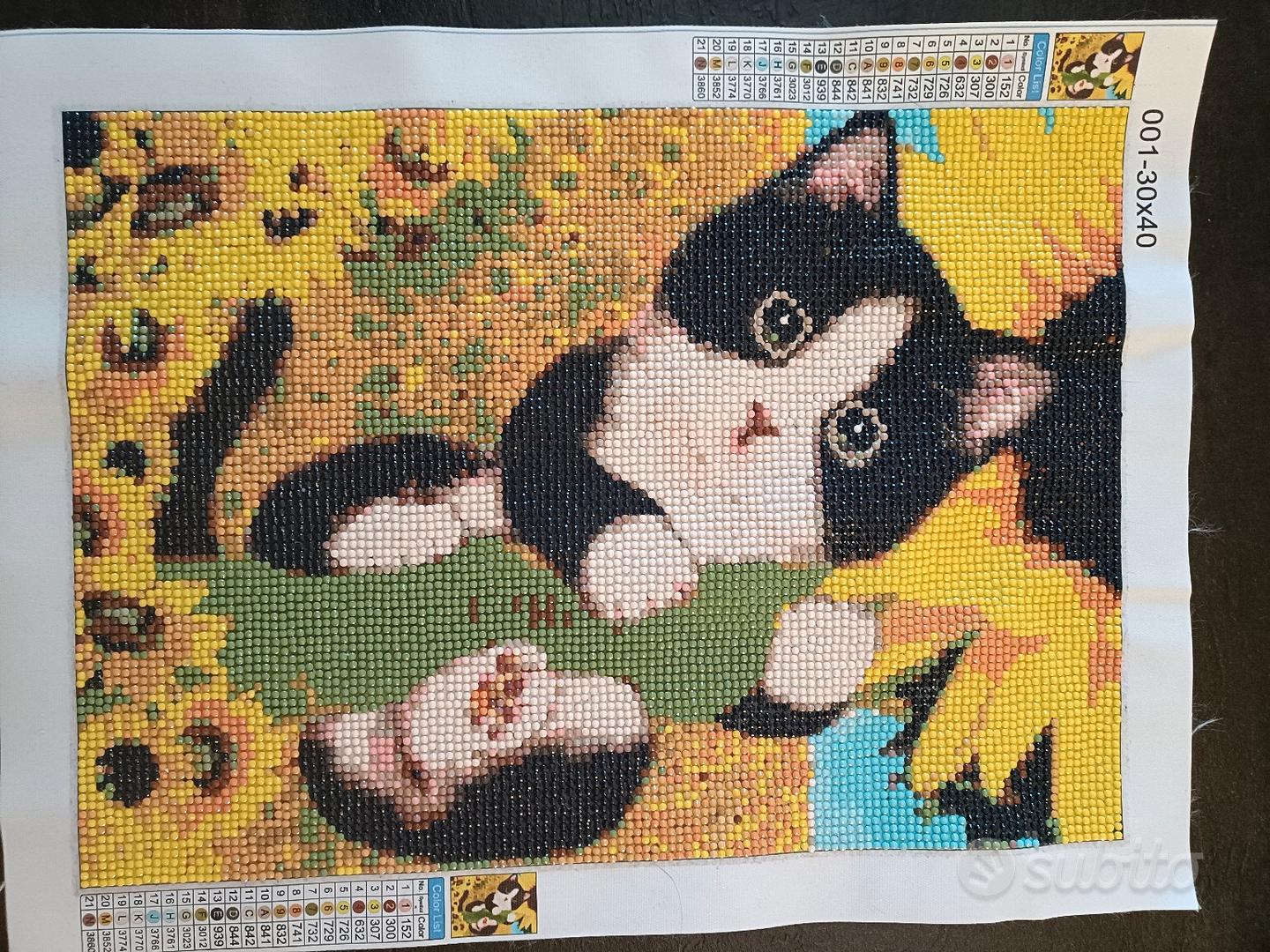 quadro diamond painting - Giardino e Fai da te In vendita a Reggio Emilia