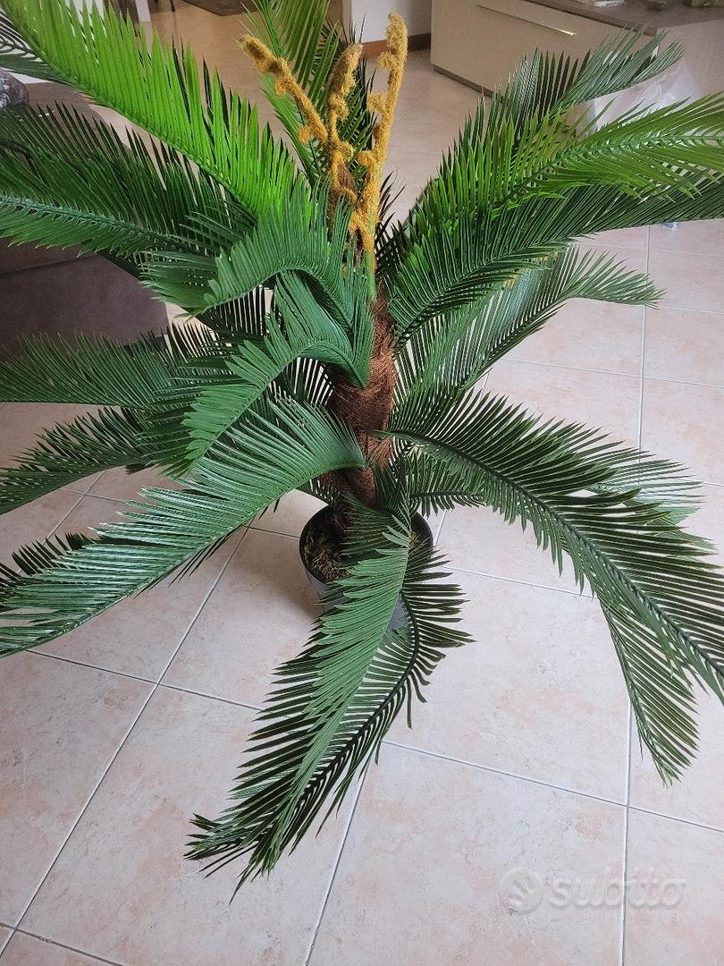 cycas pianta finta - Giardino e Fai da te In vendita a Verona