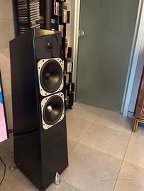 Totem Element Earth diffusori hi-end - Audio/Video In vendita a Roma