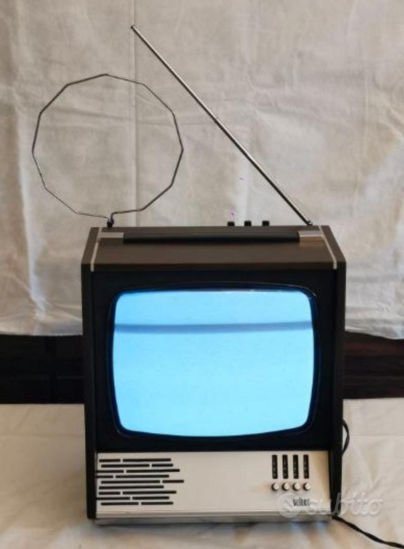 TV Seleco - Audio/Video In vendita a Udine