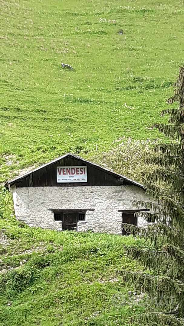 Rustico di montagna - Terreni e rustici In vendita a Trento