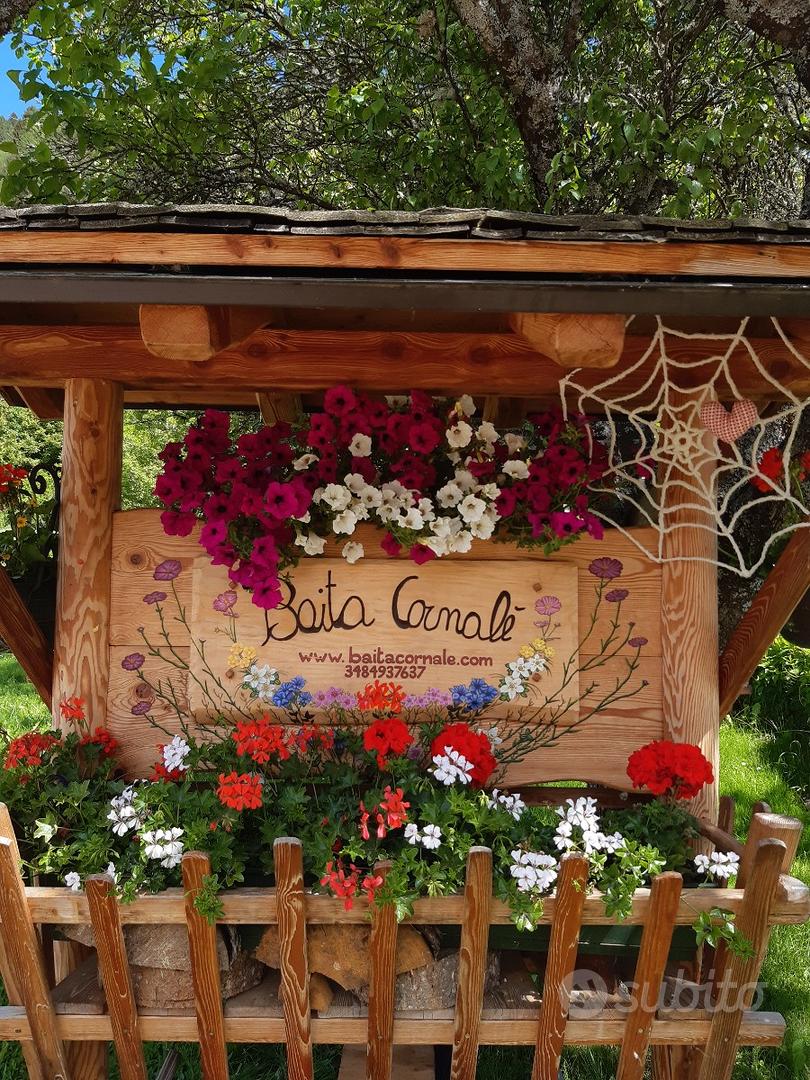 VACANZA IDEALE in Baita Cornale' - Case vacanza In affitto per vacanze ...