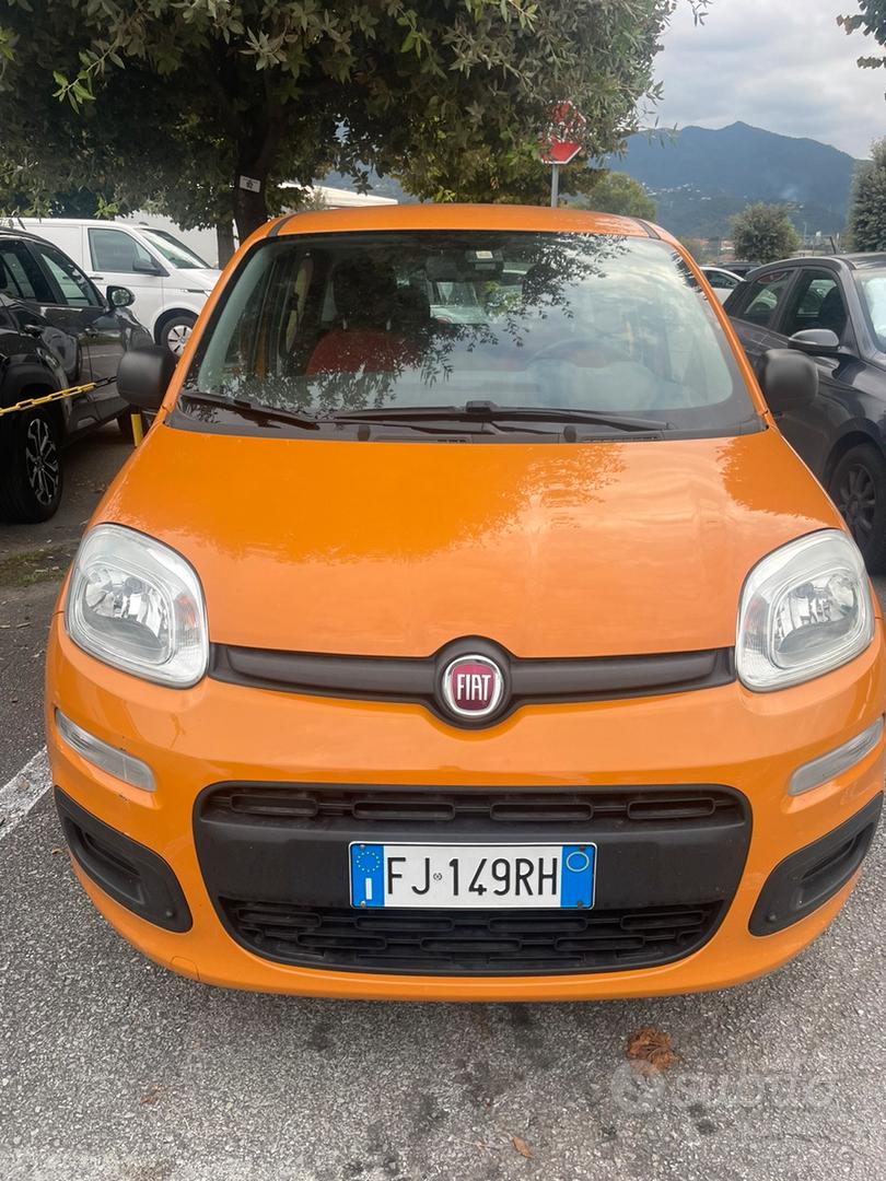 Fiat Panda - Auto In vendita a Massa-Carrara