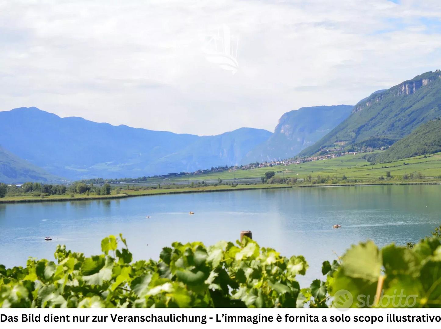 Subito - HOME IMMOBILIARE SRL - Caldaro: Vigneto con vista sul lago ...