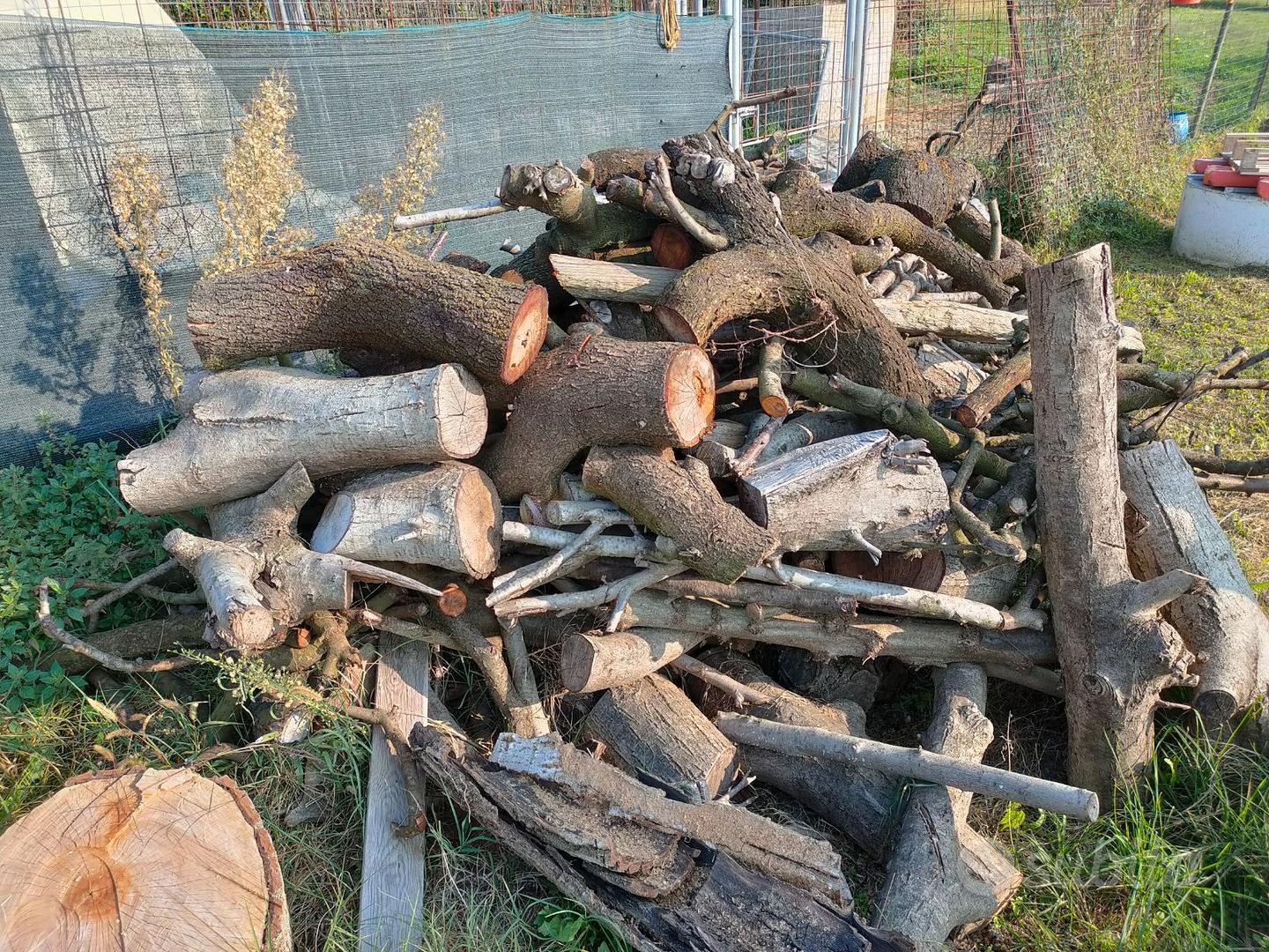 Legna in stanga - ciliegio e noce - Giardino e Fai da te In vendita a ...