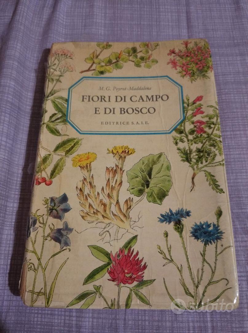 Fiori di campo e di bosco s.i.a.e. - Collezionismo In vendita a Reggio ...