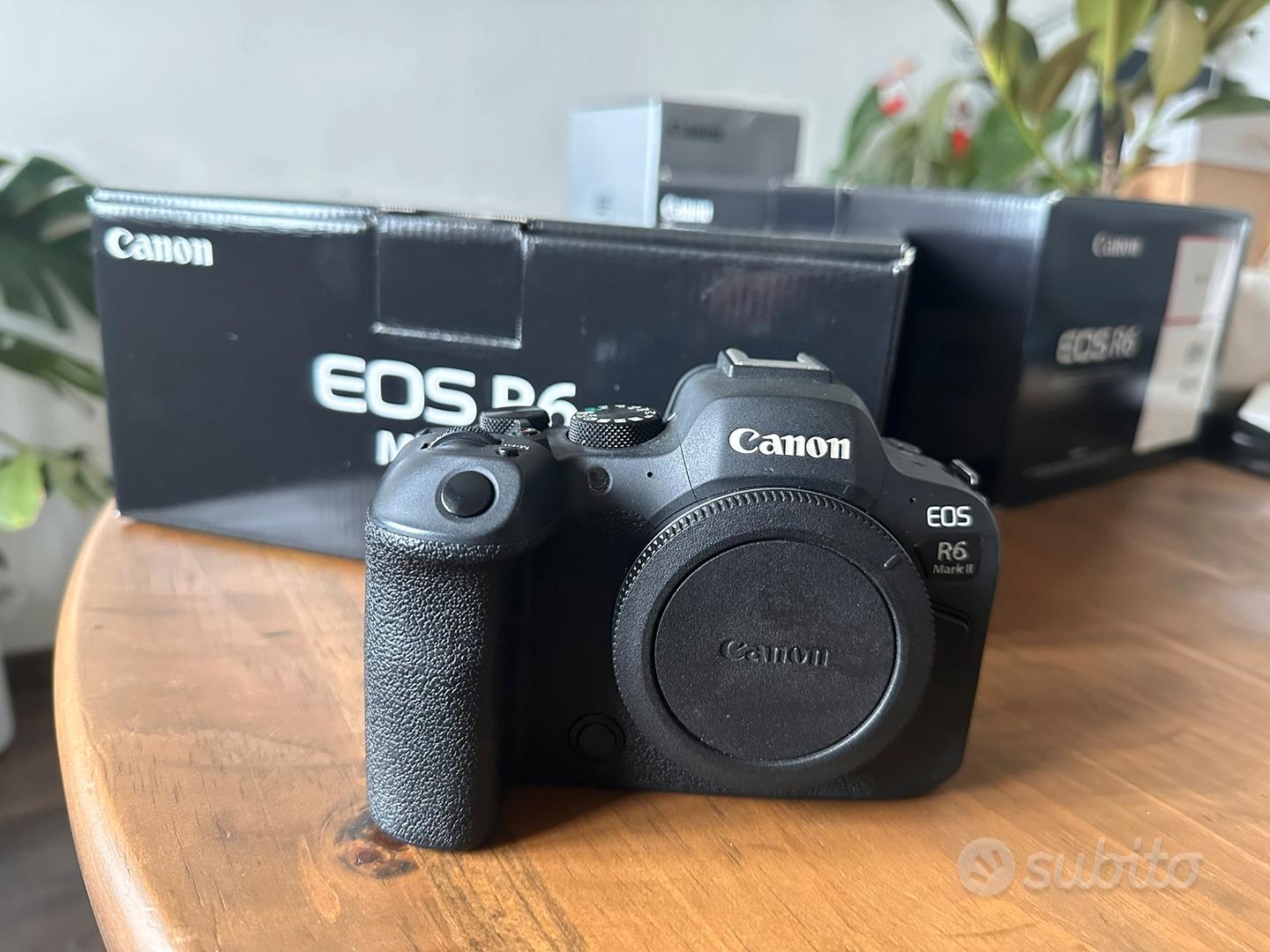 Canon R6 Mark II mk2 - Fotografia In vendita a Chieti
