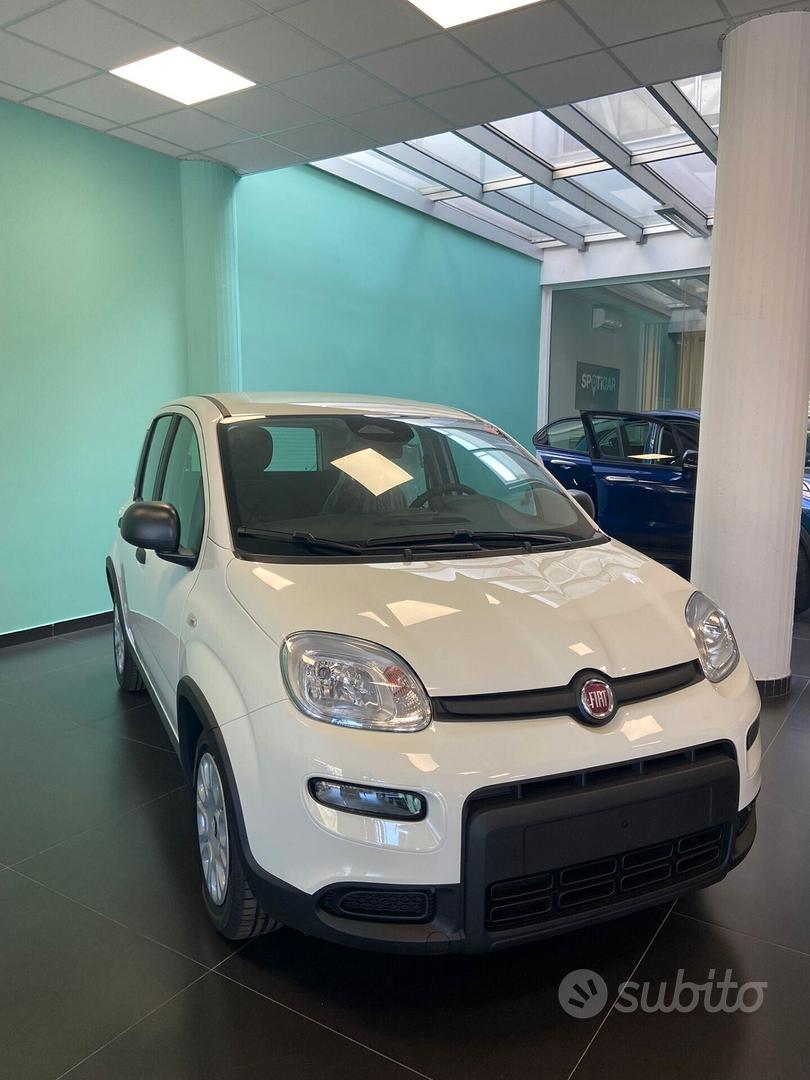 Subito - Bruvincars srl - Fiat Panda 2024 PANDINA KM 0 NUOVA FULL ...
