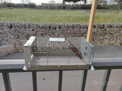 Trappola per topi artigianale in filo zincato - Giardino e Fai da te In ...