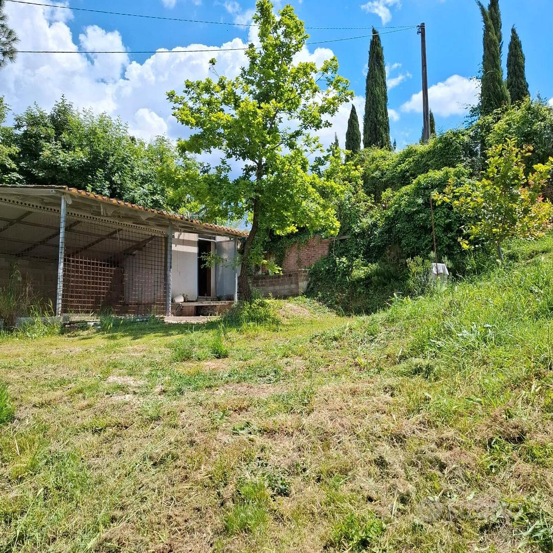 Terreno panoramico con vigneto e casetta - Terreni e rustici In vendita ...