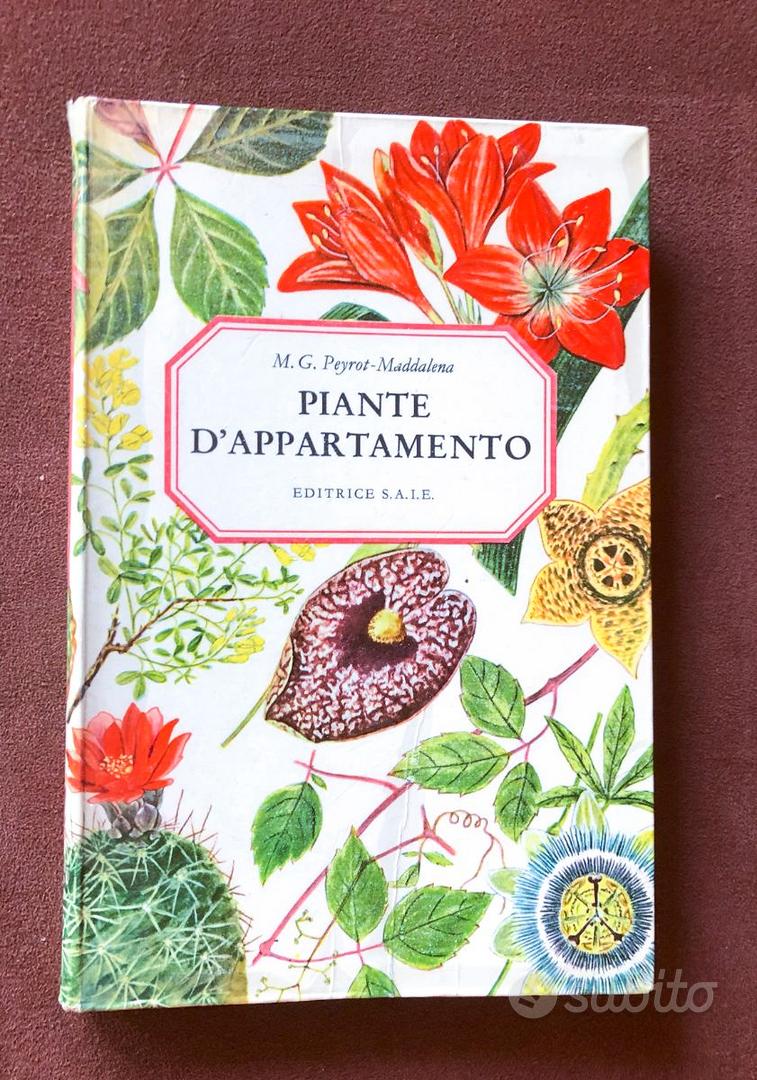 Piante d'appartamento - Peyrot Maddalena - anni 60 - Libri e Riviste In vendita a Milano
