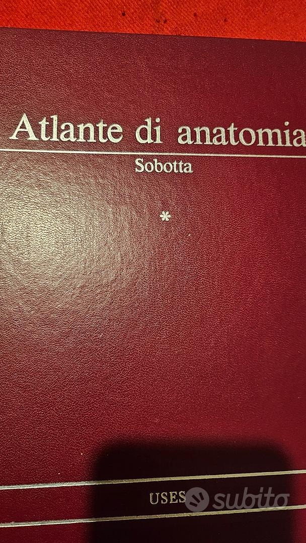 MEDICINA E BIOLOGIA Atlante di Anatomia J. Sobotta - Libri e Riviste In ...