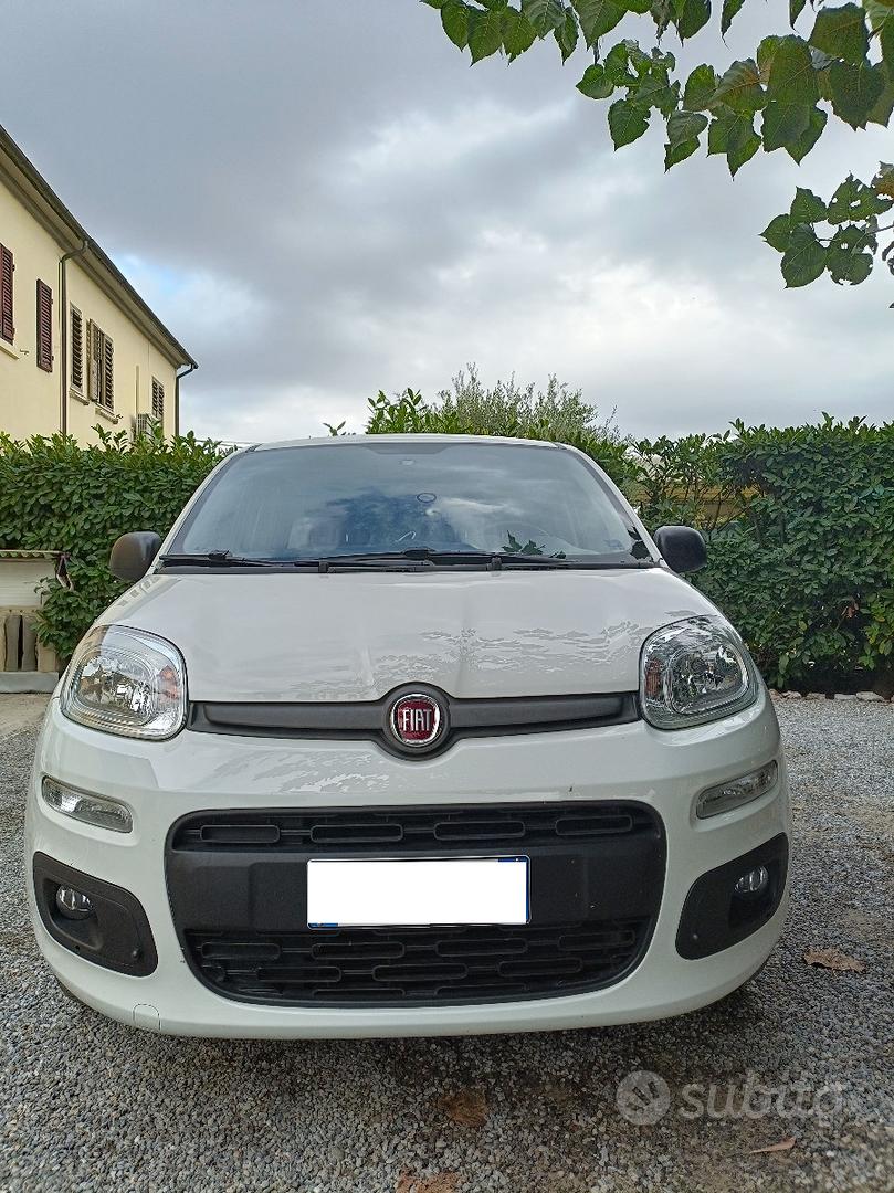 FIAT Panda 3ª serie - 2019 GPL - Auto In vendita a Pisa