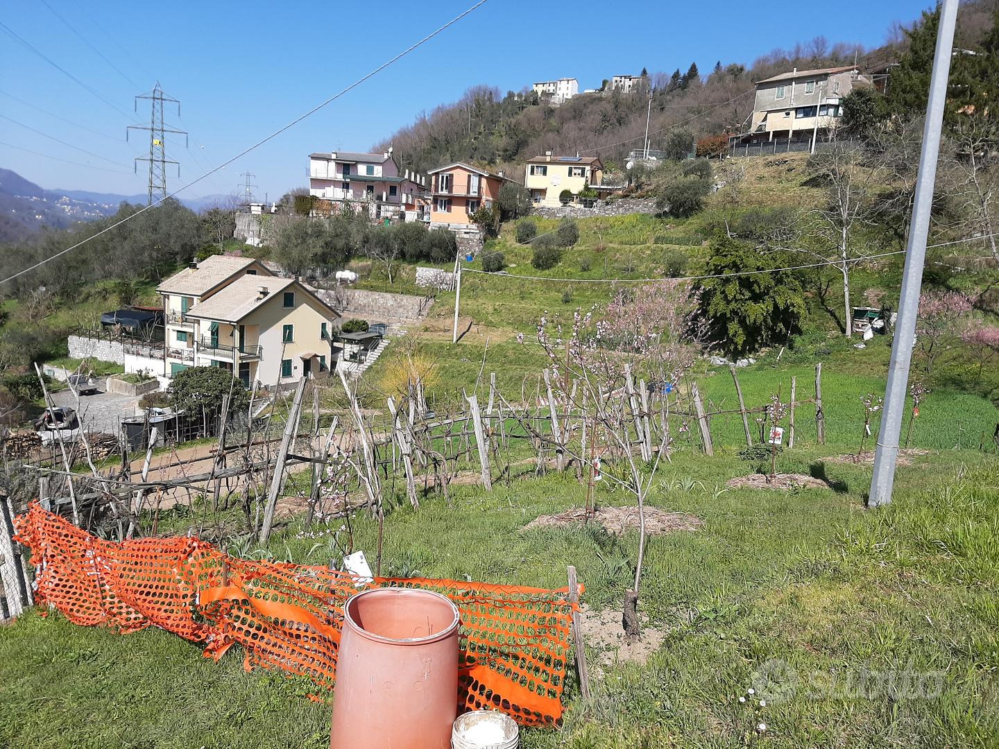 Pescheto/vigneto entroterra chiavarese - Terreni e rustici In vendita a ...