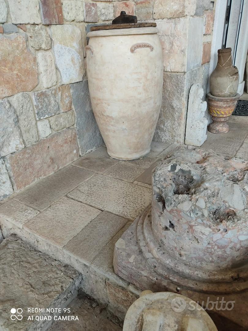 Sarola pugliese - Giardino e Fai da te In vendita a Foggia