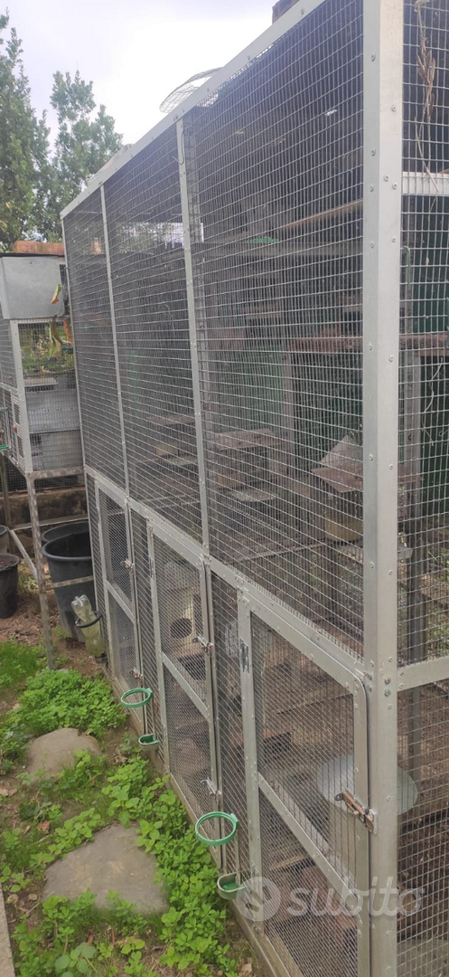 Voliera per uccelli - Animali In vendita a Arezzo