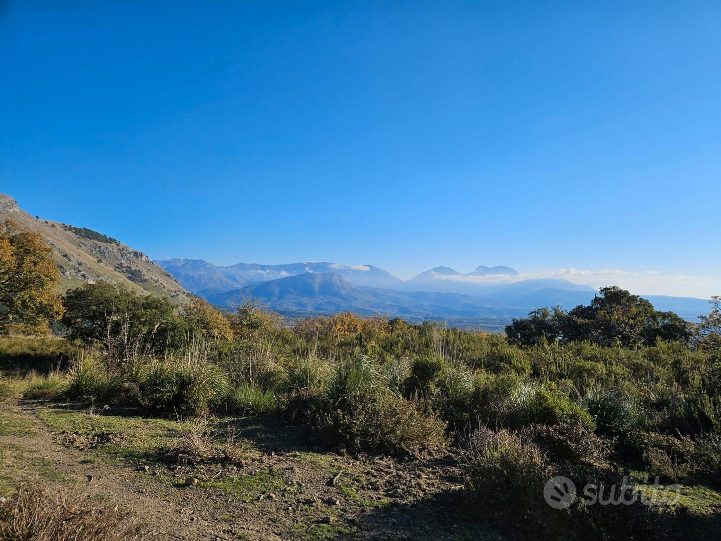 Terreno e casale Scalea/Santa Domenica Talao - Terreni e rustici In ...