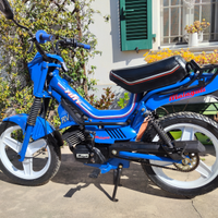 Malaguti Fifty usata in vendita - Subito.it