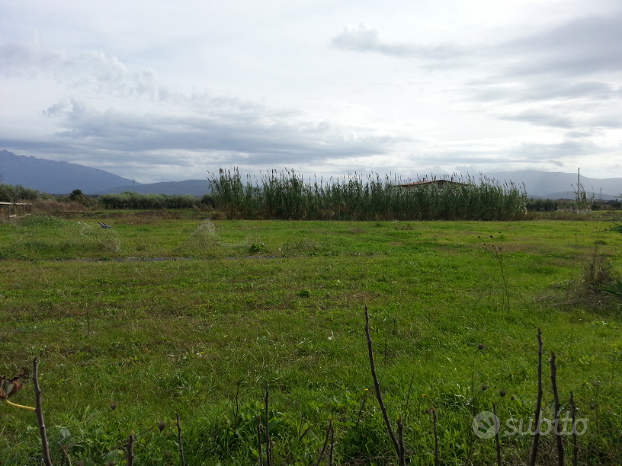 Subito - D'ANTONIO IMMOBILIARE - Eboli e Campagna-Terreni a partire da ...