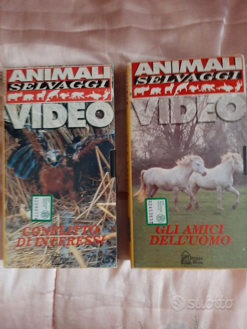 2 vhs originali Animali Selvaggi serie Hobby Work - Musica e Film In ...