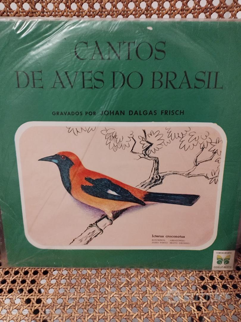 cantos de aves do Brasil - Musica e Film In vendita a Milano