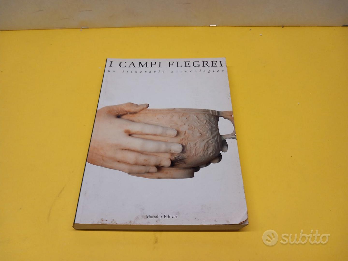 I campi flegrei, un itinerario archeologico - a cu - Libri e Riviste In ...