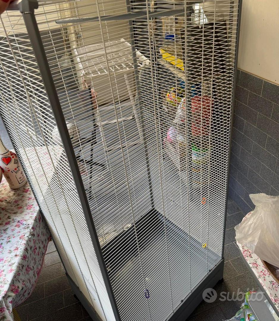 Voliera per uccelli e petauri - Accessori per animali In vendita a Napoli