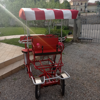 Risciò - Fantastiche offerte di Biciclette - Subito.it