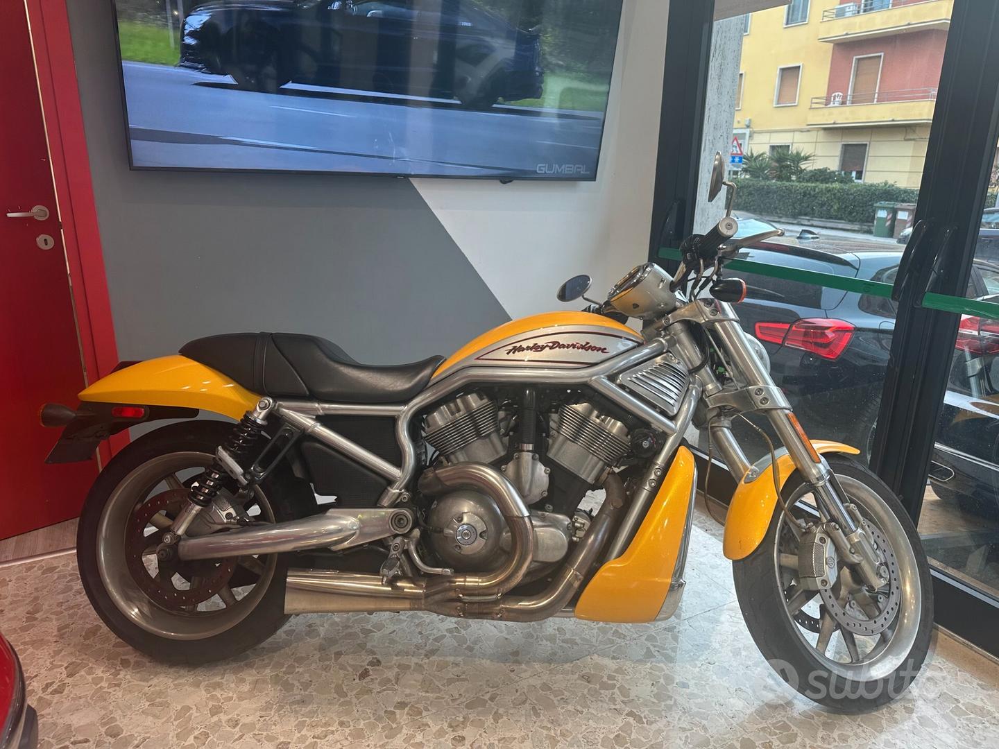 HARLEY-DAVIDSON V-ROD - Moto e Scooter In vendita a Macerata