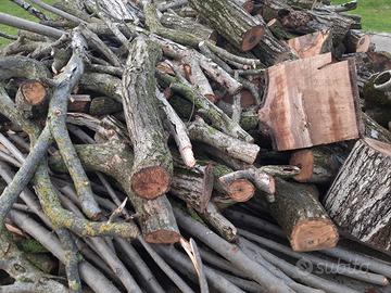 legna da ardere alta qualità (noce) - Giardino e Fai da te In vendita a ...