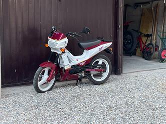 Malaguti Fifty usata in vendita - Subito.it