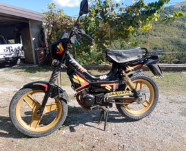 Malaguti Fifty usata in vendita - Subito.it