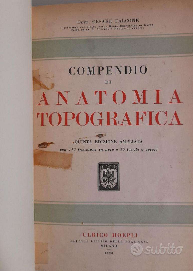 Compendio Anatomia Topografica - Libri e Riviste In vendita a Bari