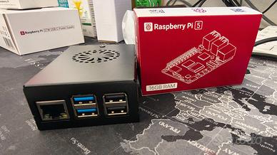 Raspberry pi 5 16Gb kit potenziato ssd 256gb nvme - Informatica In ...