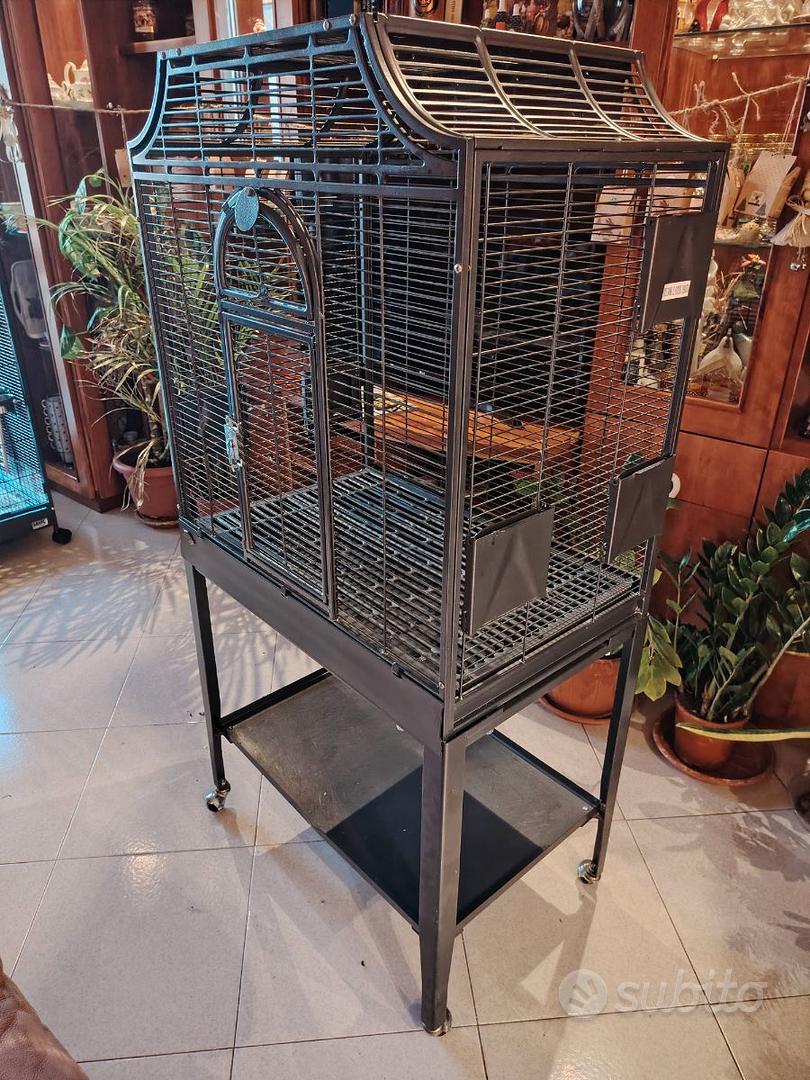 Voliera Montana Madeira I - Accessori per animali In vendita a Salerno