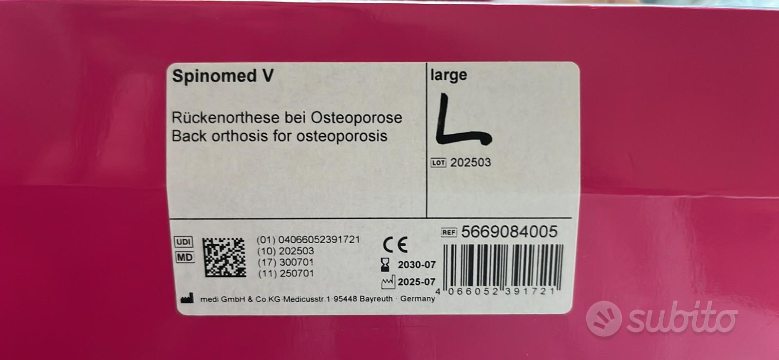 Busto spinomed - Altri In vendita a Firenze