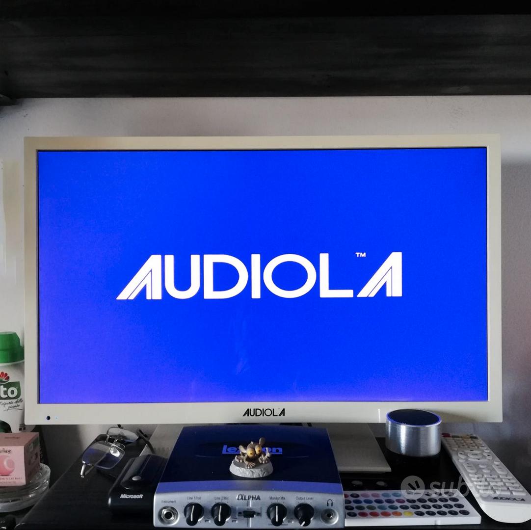 TV Monitor LCD 24'' AUDIOLA - Audio/Video In vendita a Milano