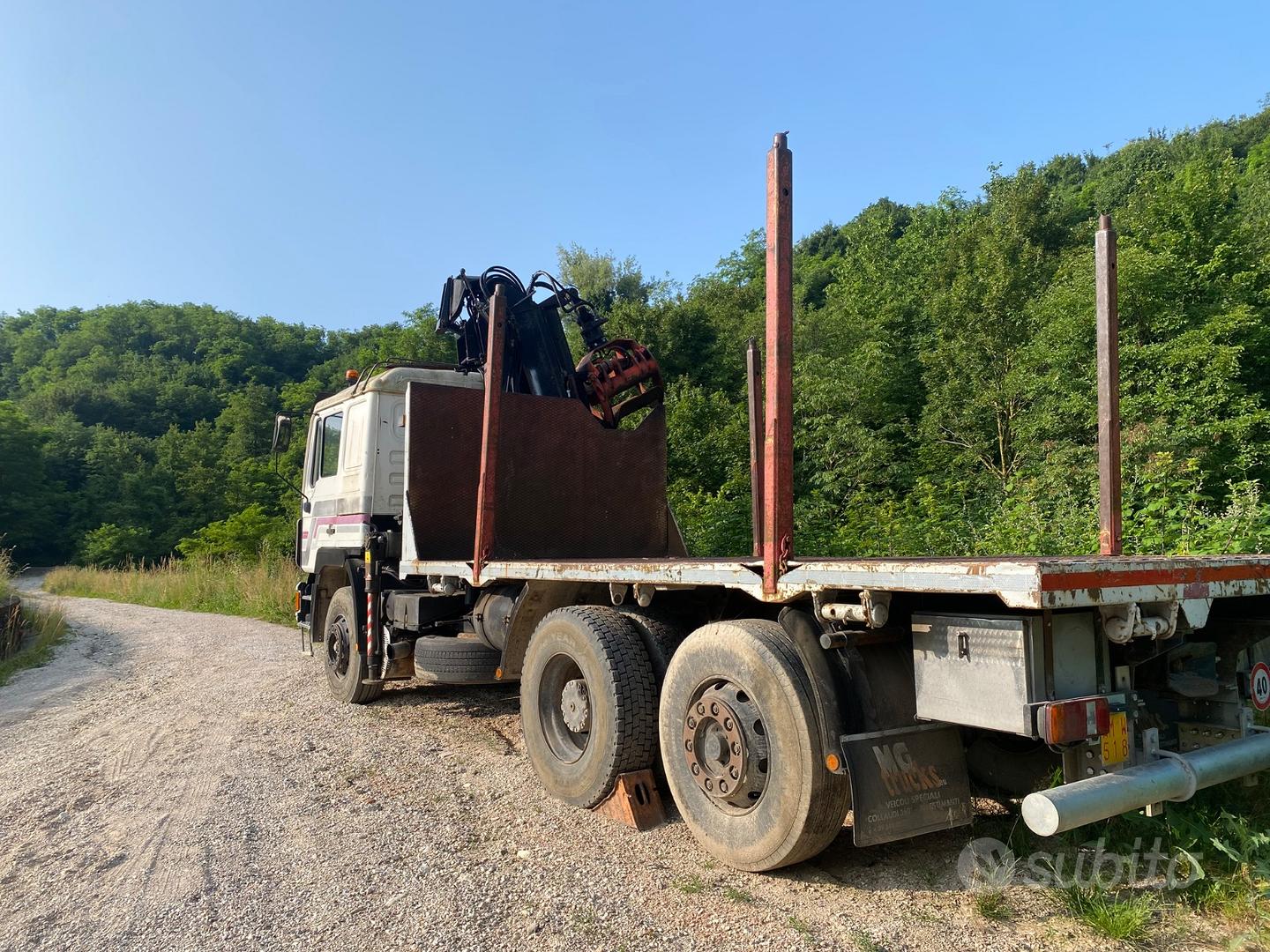 Camion forestale macchina operatrice - Veicoli commerciali In vendita a ...