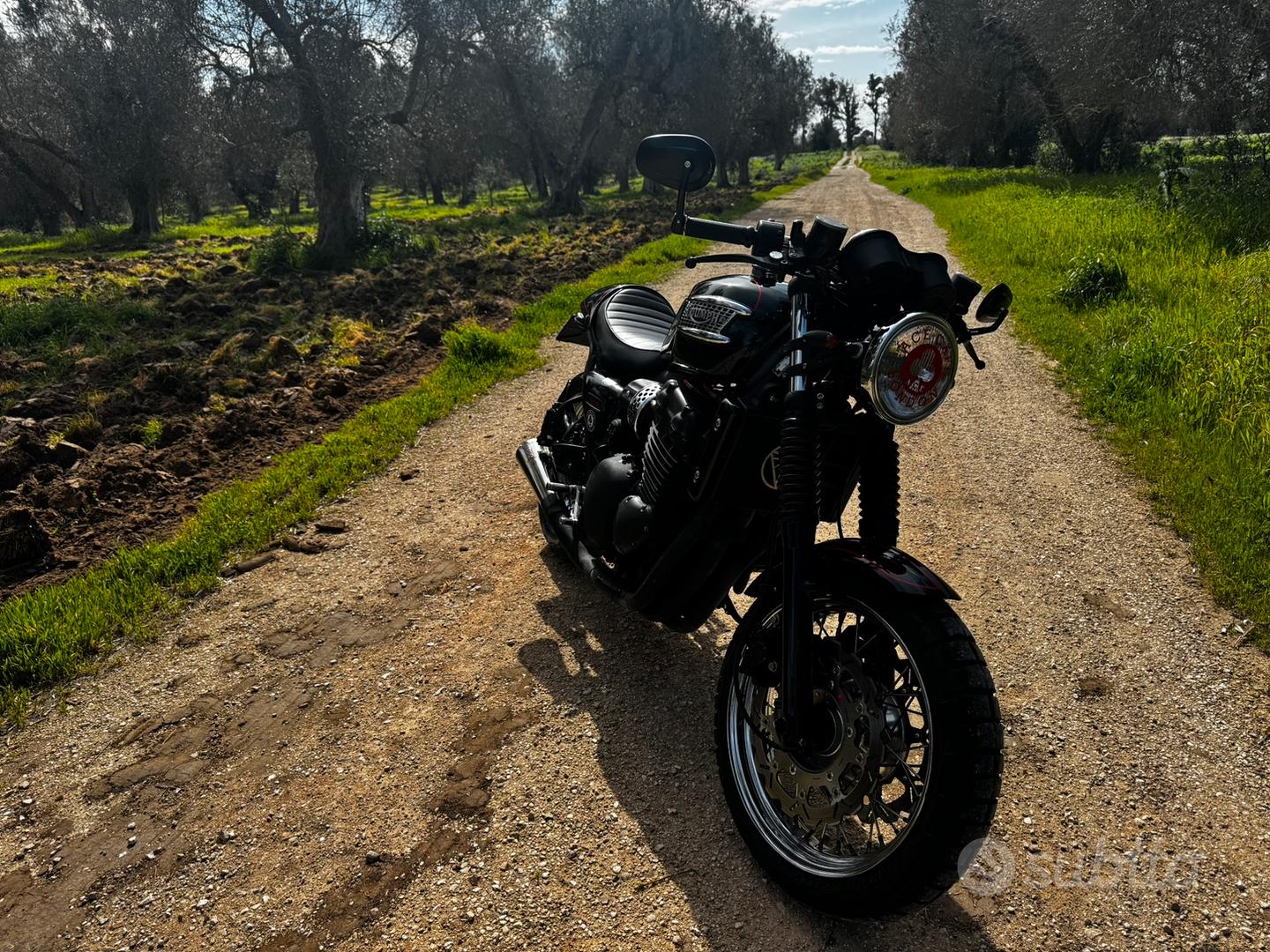 Triumph tt900 - Moto e Scooter In vendita a Brindisi