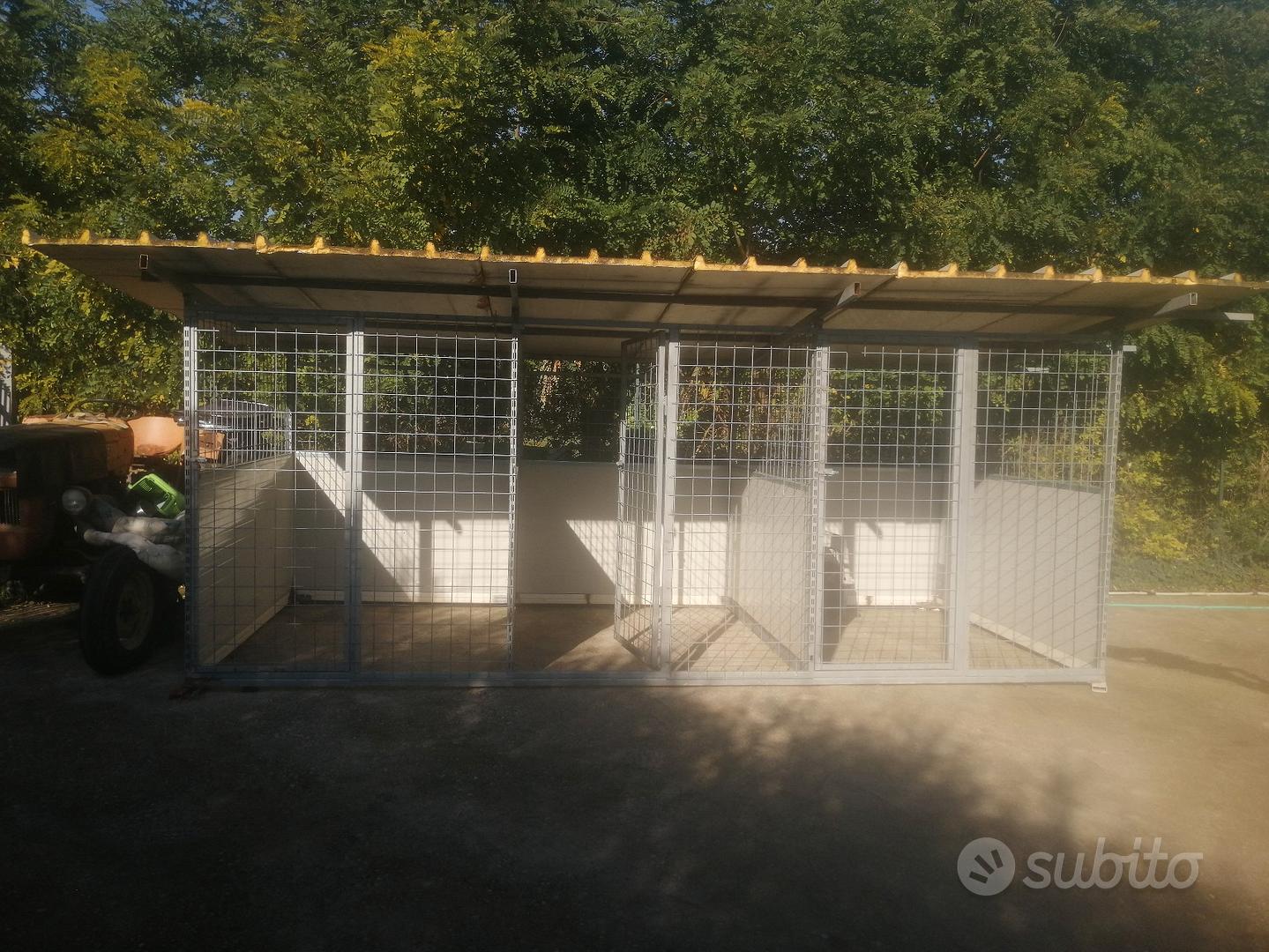 box cani - Accessori per animali In vendita a Caserta